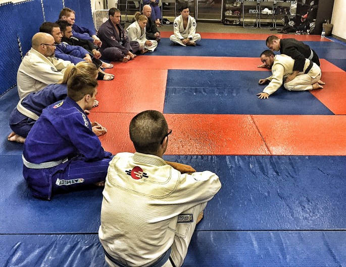 Curtle the turtle! – method bjj