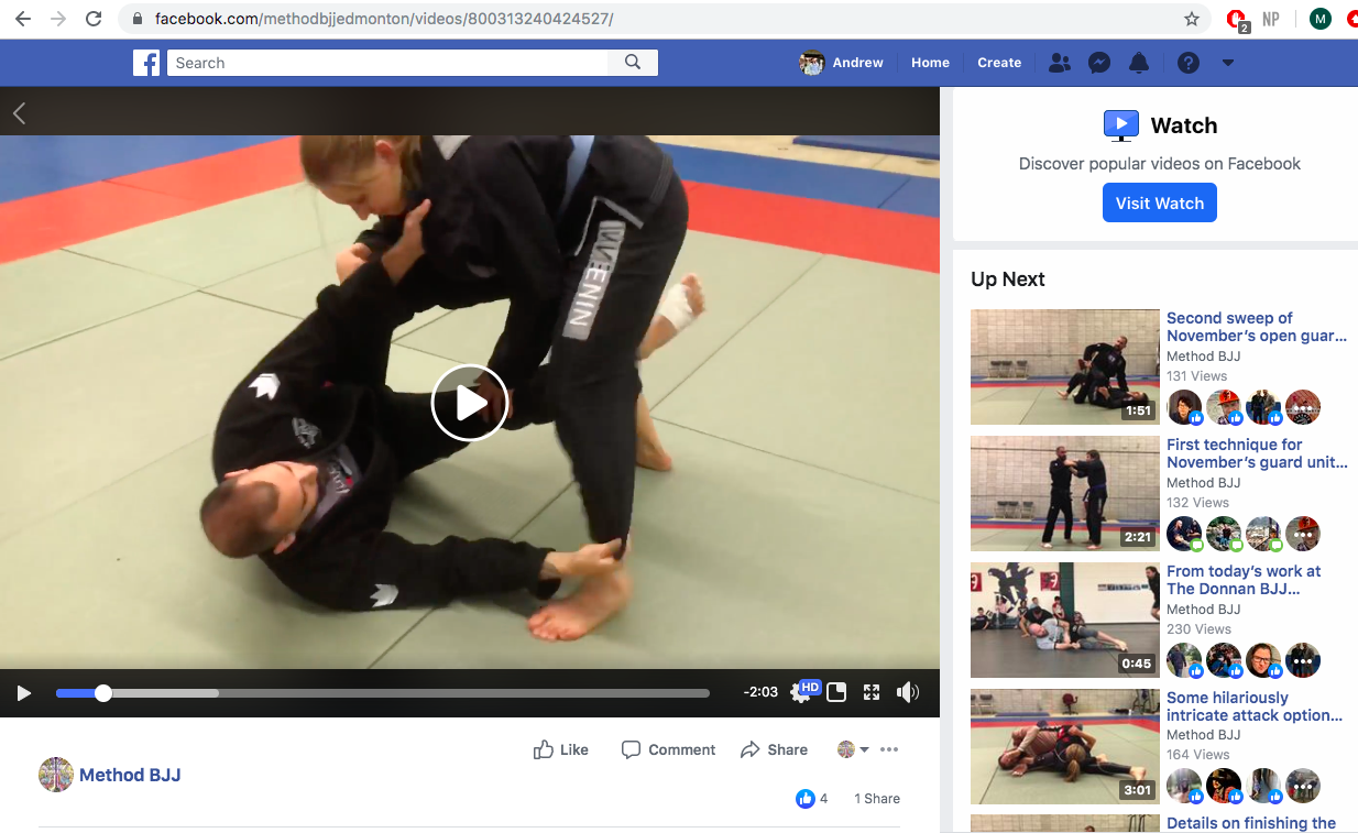 Curriculum Videos – method bjj